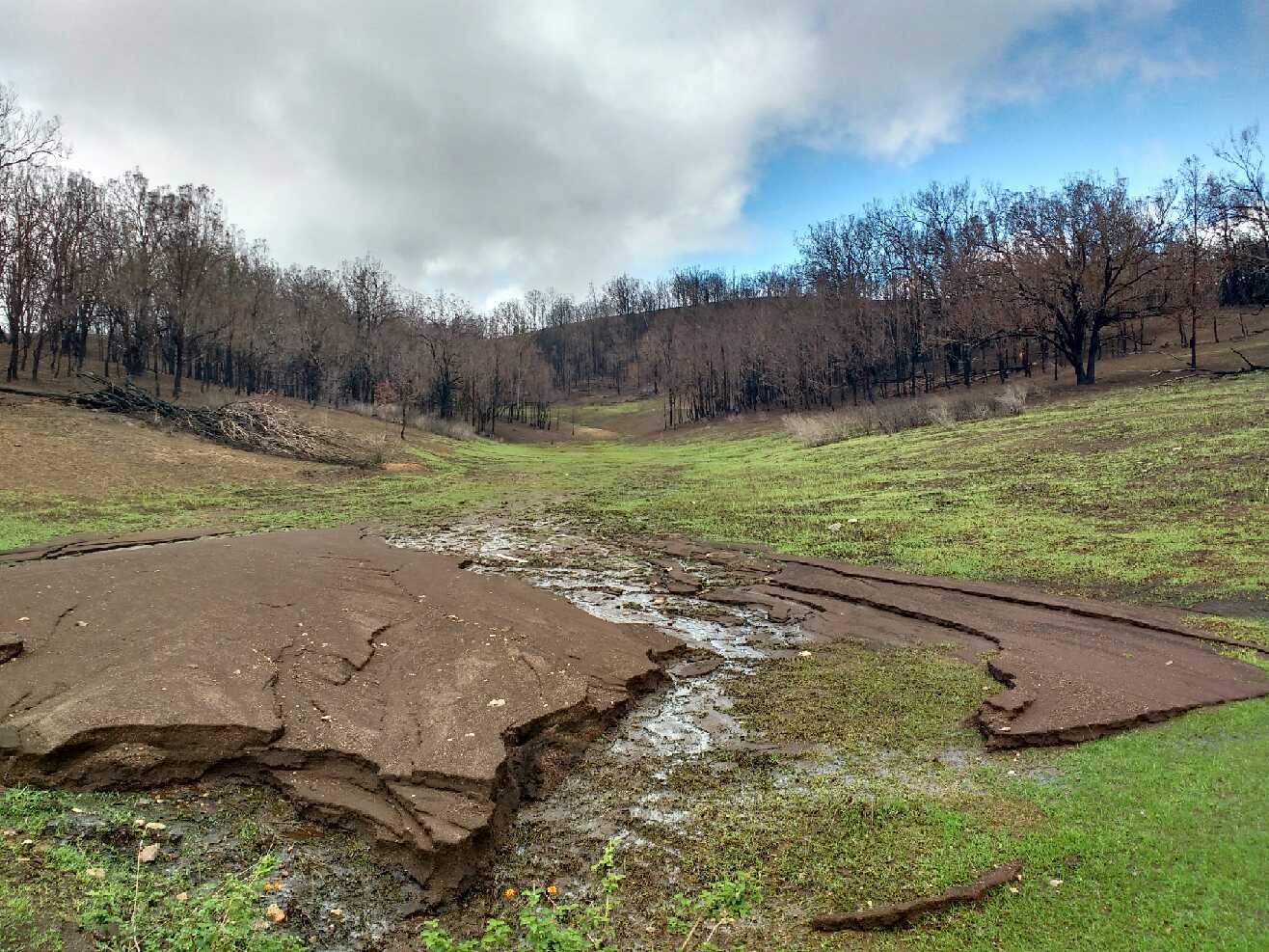 Bushfires and soils - NSW Soil Knowledge Network